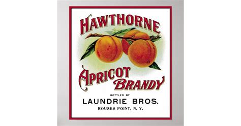 Hawthorne Apricot Brandy Poster Zazzle