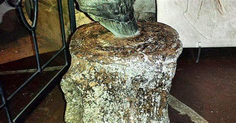 A Megalodon Tooth Stuck In A Whale Vertebrae This Is The Most Badass