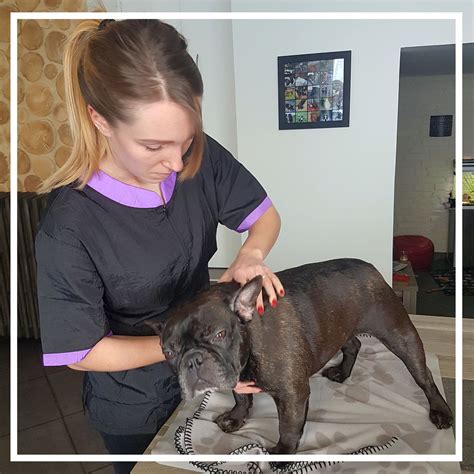 Les Tarifs Massage Canin Site Pretty Compagnie
