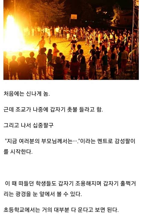 수련회 캠프파이어때 T들은 안울었음 인스티즈instiz 일상 카테고리