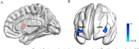 Figure From Frontostriatal Functional Connectivity Underlies The Association Between