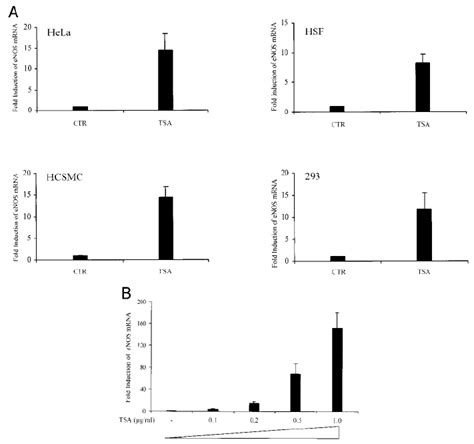 Induction Of ENOS MRNA Expression In Non Endothelial Cells By HDACs