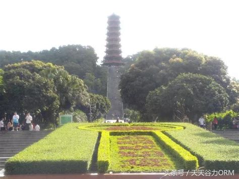 深圳公明紅花山一日游 每日頭條