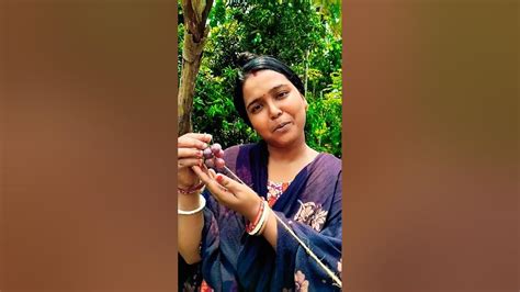 আমাদের গাছের আঙ্গুর ️ ️ ️ Youtube