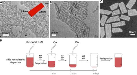 Npl Tem Characterization And Drying Assembly Scheme Tem A And B And