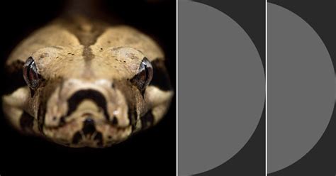 List Python Programming Curated By Rose Y Medium