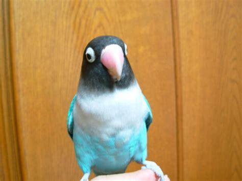 きをつけ！やすめ！ Togetter トゥギャッター