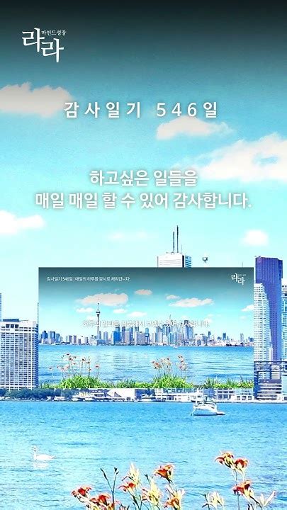 감사일기 546일 예전의 생각만 했던 일들이 어느새 일상이되어 신기하고 감사합니다감사일기 매일 감사로시작하는365 감사영상 감사 나와의약속 자기사랑