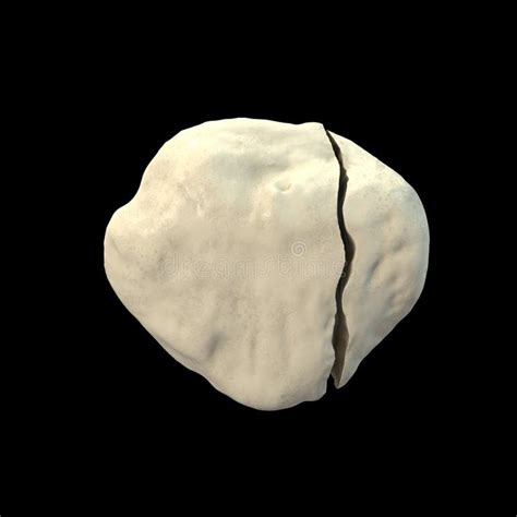 Patella Vertical Fracture 3d Illustration Showing A Lengthwise Break