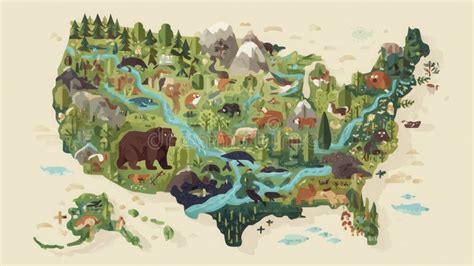 United States Map Illustrating Diverse Wildlife Natural Habitats And
