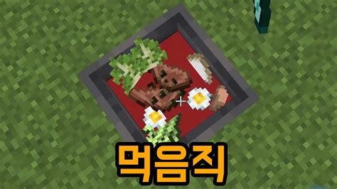 찌개 마인크래프트 Youtube