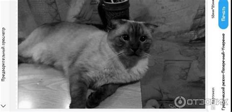 Отзыв о Портативный мини принтер для чеков наклеек этикеток No Name Необязательные вещи тоже