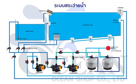 วิธีการดูประเภทของระบบสระว่ายน้ำง่ายๆ Thaioceanshop