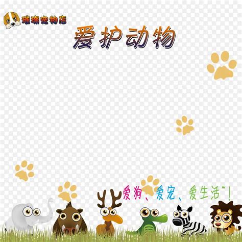 宠物店宣传单爱护动物PNG图片素材下载 图片编号7874687 PNG素材网