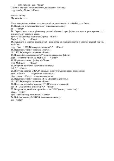 Ms Dos Pdf