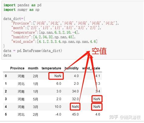 Pandas进阶120题之54：分组填充空值（3）