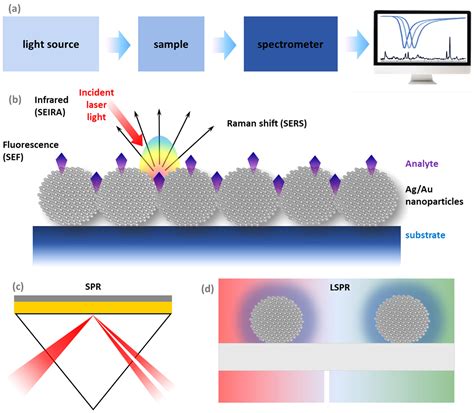 Chemosensors Free Full Text Molecularly Imprinted Plasmonic Based Sensors For Environmental
