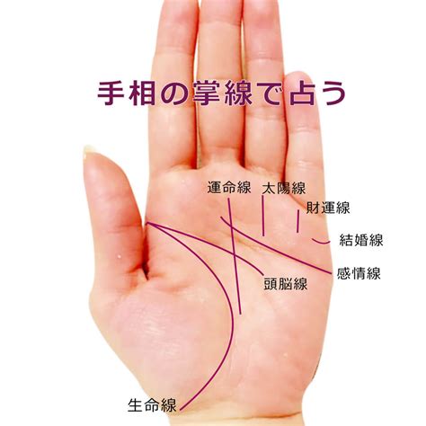 見方 意味 Oncstrea