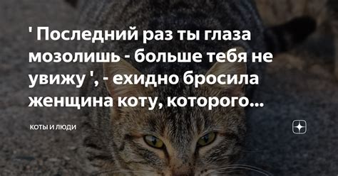 Последний раз ты глаза мозолишь больше тебя не увижу ехидно