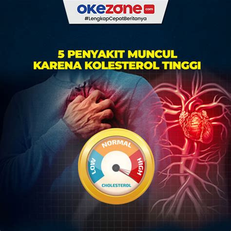5 Penyakit Yang Muncul Karena Kolesterol Tinggi 0 Foto Okezone Infografis