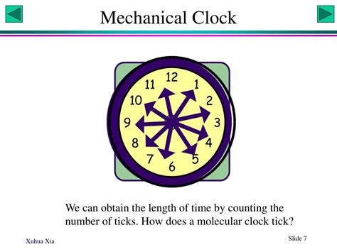 Ppt Molecular Clock An Interesting Application Powerpoint
