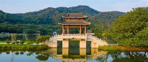 今起，东莞这些公园恢复开放！防控游客量疫情