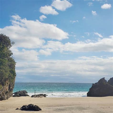 池田夏希さんのインスタグラム写真 池田夏希instagram「1月25日発売の最新dvd『見つめて欲しい』はもう予約していただけました
