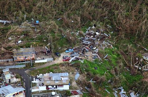 Hurricane Maria Caused Unprecedented Damage To Puerto Rican Forests