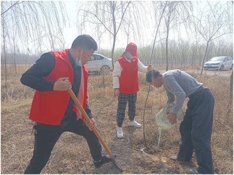 朔里镇矬楼村开展植树节活动，为美丽乡村添新绿杜集区人民政府