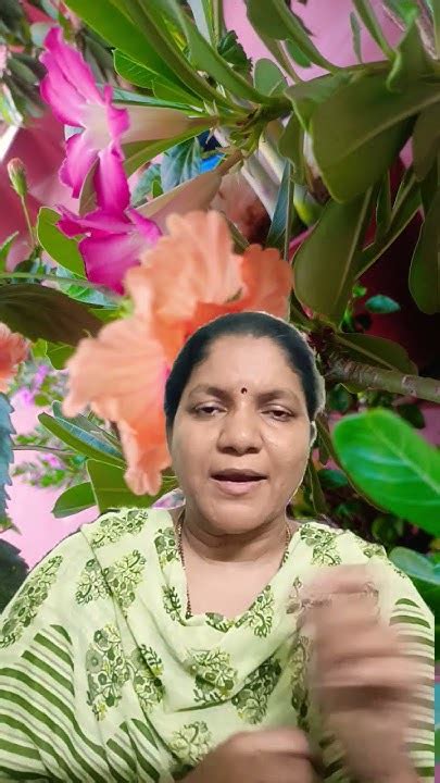 Hash Functions In Hashing Types Of Hash Functions Hashfunctions Typesofhashfunctions