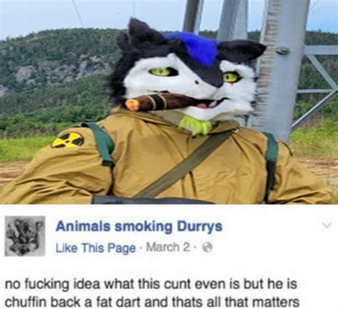 Dart Irl R Furry Irl
