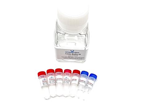 Core Direct Rt Pcr Kit Vitanavi Technology