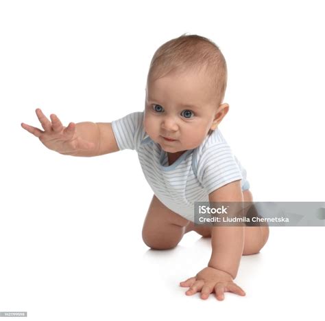 白い背景に這うかわいい男の子の赤ちゃん 赤ちゃんのストックフォトや画像を多数ご用意 赤ちゃん 這う 1人 Istock