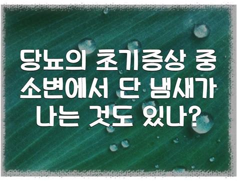 당뇨의 초기증상 중 소변에서 단 냄새가 나는 것도 있나