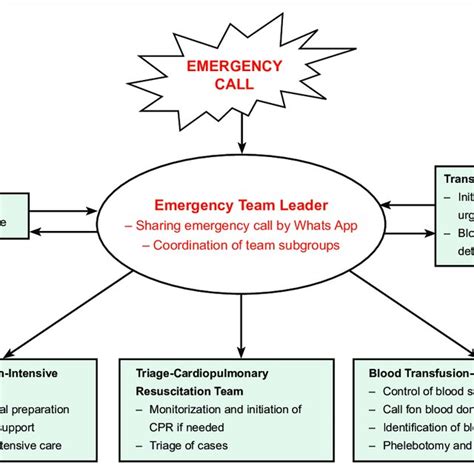 Emergency Call Flow Chart