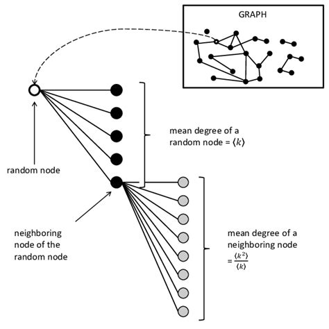 The Expected Degree Of A Neighbor Of Randomly Selected Node Is Larger