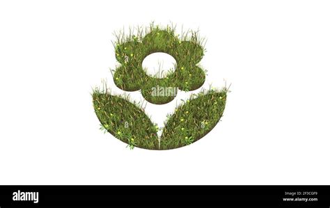 3d Rendered Grass Field With Colorful Flowers In Shape Of Symbol Of