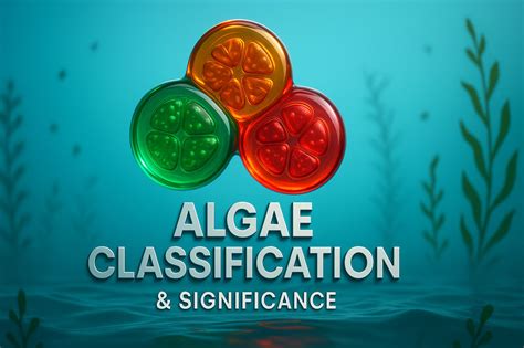 Comprehensive Guide To Algae Classification And Significance