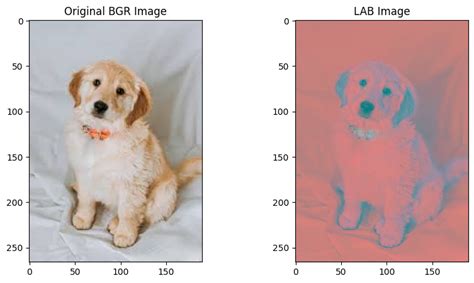 Opencv Color Spaces And Conversion An Introduction