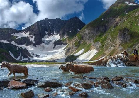 shayan satti on linkedin pakistan