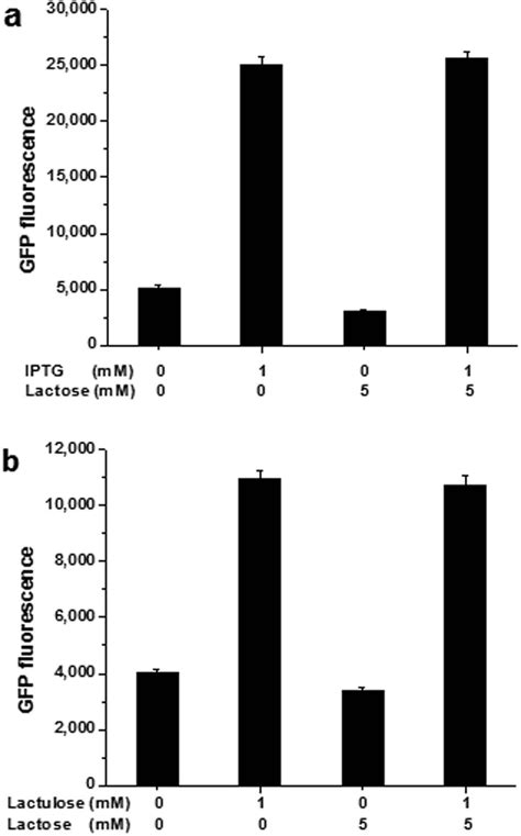 Effects Of Lactose On Wild Type Laci A And Laci L5 B Download Scientific Diagram