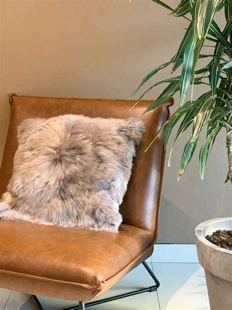 Mini Alpaca Warmpaca