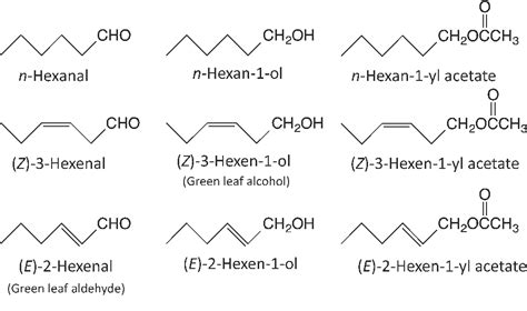 Figure 1 From The Importance Of Lipoxygenase Control In The Production