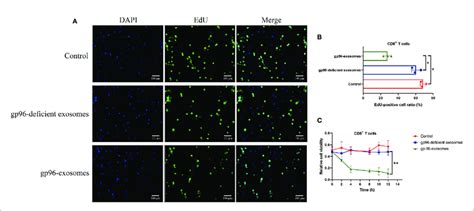 Pr Bc Cells Derived Gp96 Exosomes Suppressed Cell Viability In The