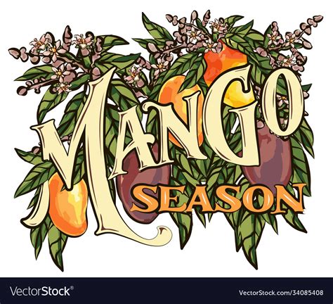 Mango Fruits Set Engraved Organic Food Hand Drawn Vector Image