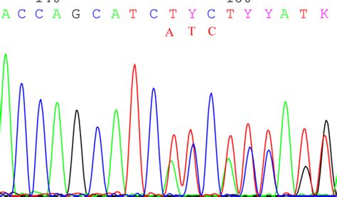 Capillary Sequencing Plos One