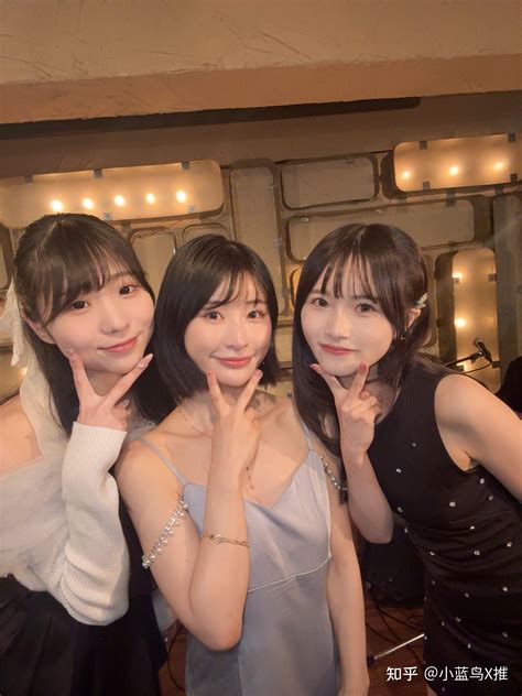 小蓝鸟x推特 暗黑界软萌治愈 宫岛芽衣 知乎