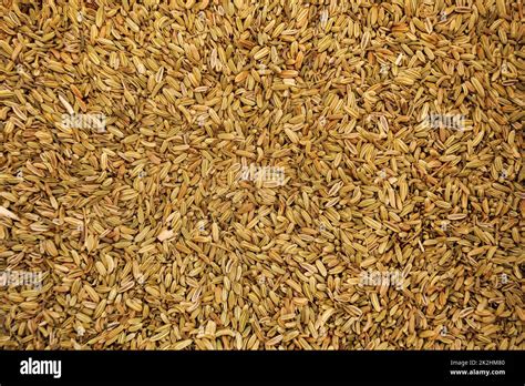 Caraway Fennel Seeds Displayed On Food Market In Kyrenia Northern
