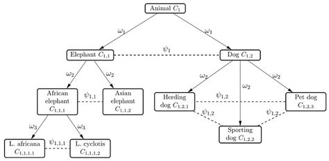 Paper Review Angle Based Hierarchical Classification Using Exact Label Embedding