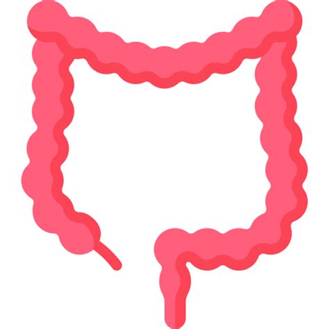 Large Intestine Special Flat Icon
